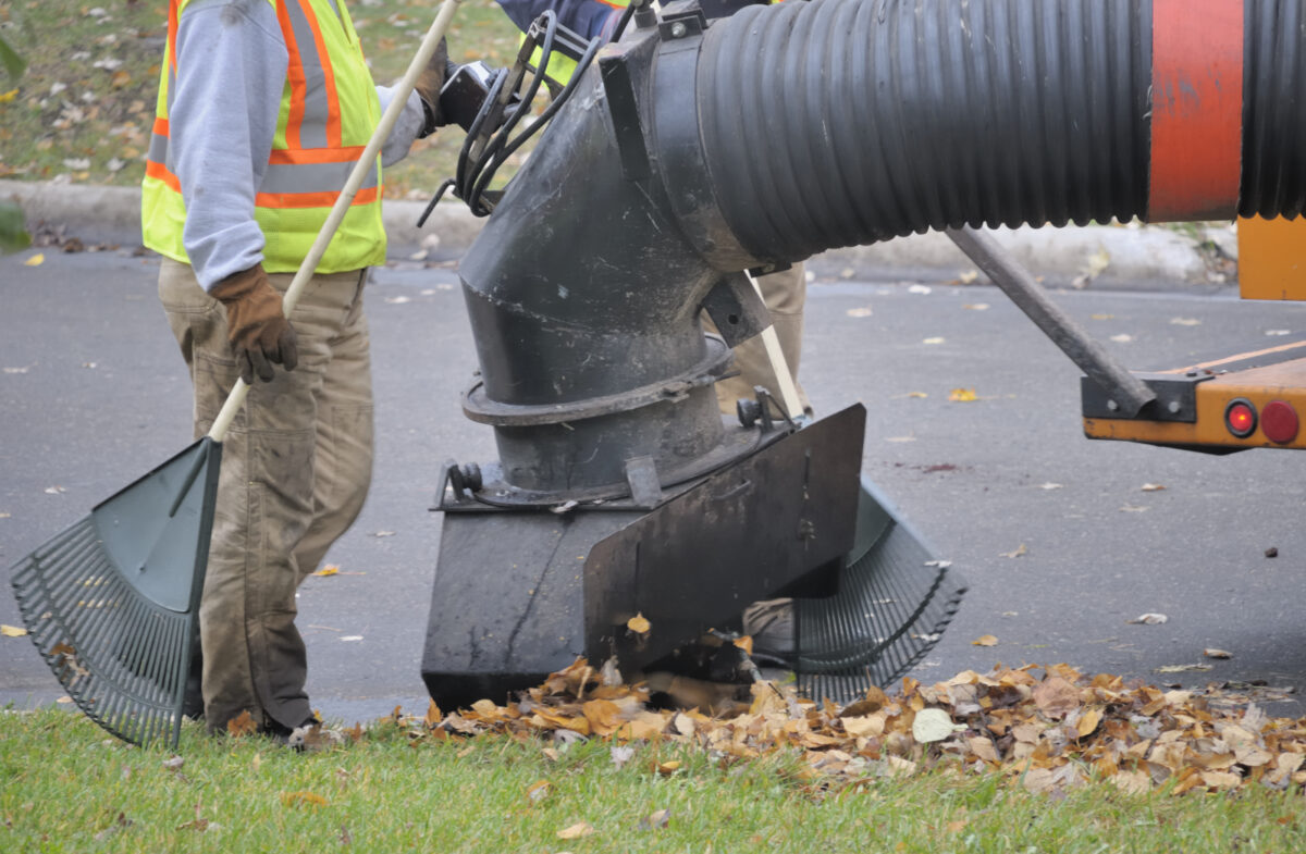 Leaf Collection Best Practices – MEL Safety Institute