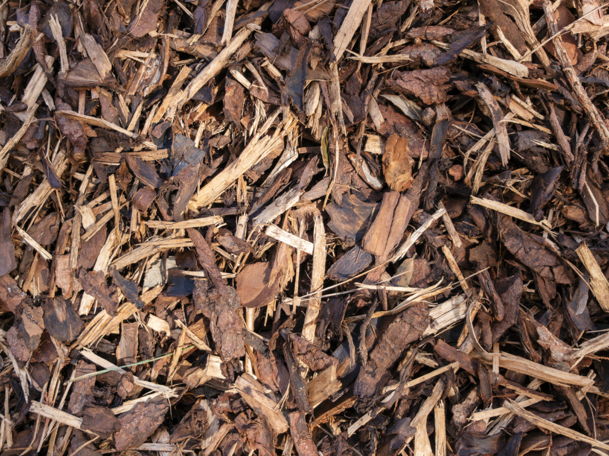 Landscape Material Combustible Mulch – MEL Safety Institute